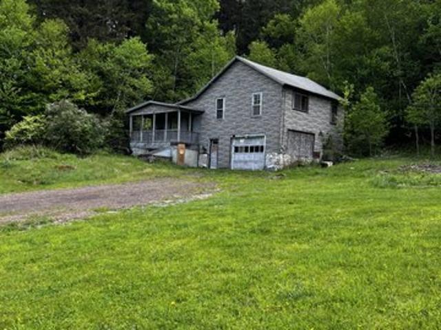 217 Platte Clove Rd, Tannersville, NY 12485