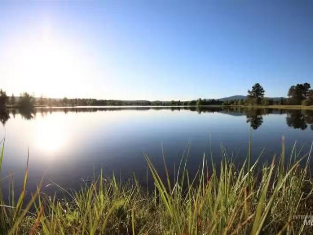 217 Rawhide Loop, Mc Call, ID 83638 651096868