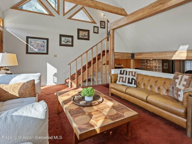217 W Bleeker Street, Aspen, CO