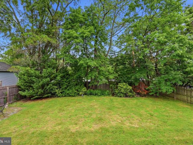 217 Williamsburg Road