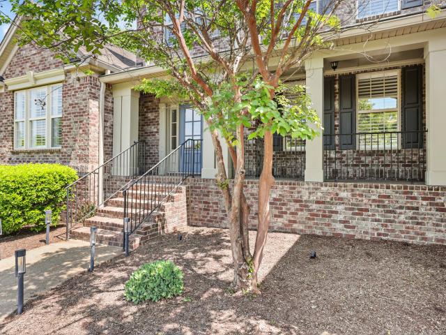 217 Terri Park Way