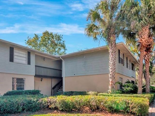 217 Thorn Tree Pl, Brandon, FL