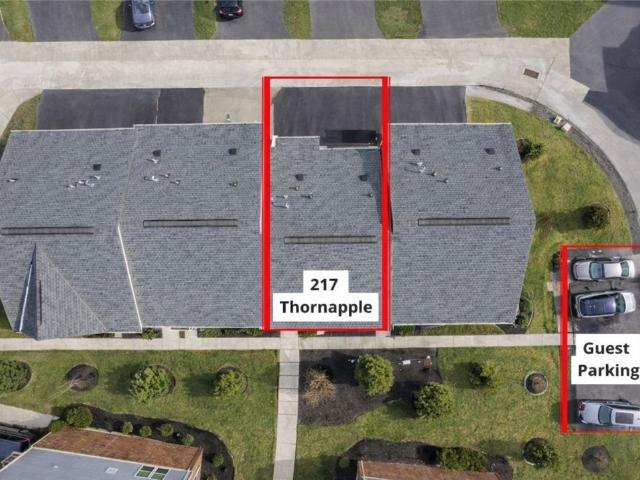 217 Thornapple Lane