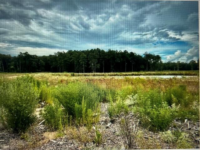 2184 County Road 2184, Cleveland, TX 77327 | MLS #3319 | Compass