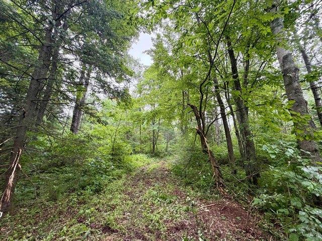 2185 Ahola Rd, Tripoli, WI 54564