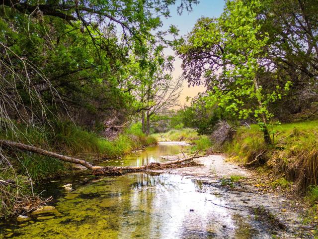 2186 Fm 470, Bandera, TX 78003 | MLS #1909