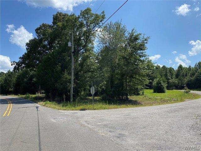 21876 Gorgas Rd, Berry, AL 35546
