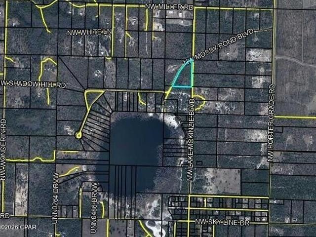 21886 NW Lake McKenzie Blvd, Altha, FL 32421