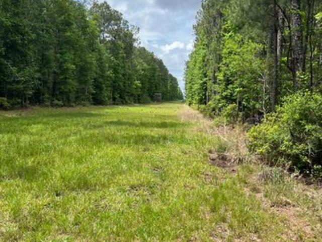 21888 Ghost Rd, Saratoga, TX 77585
