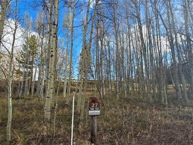 2180 Currant Way Lot 27, Silverthorne, CO 80498