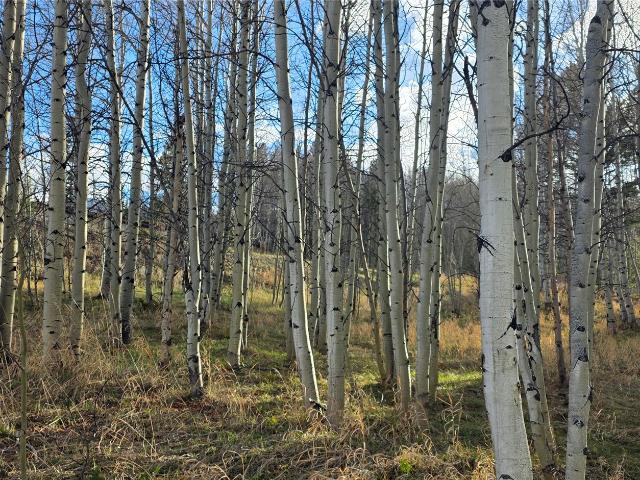 2180 Currant Way, Silverthorne, CO 80498 | MLS #S1068