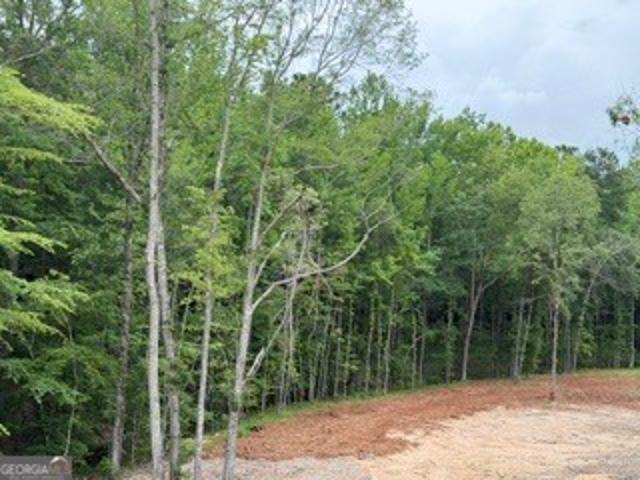 2180 Dunn Rd Road