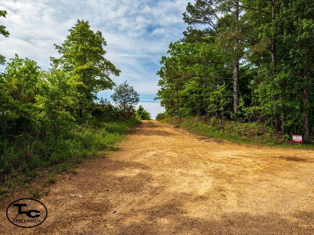 2181 Grooms Rd Lot PT13, Henderson, TN 38340