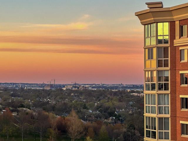 2181 Jamieson Avenue # 1905