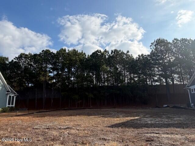 2181 Palm Pointe NE, Leland, NC 28451 | MLS #100548
