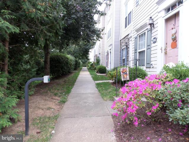 21836 Goodwood # 21836