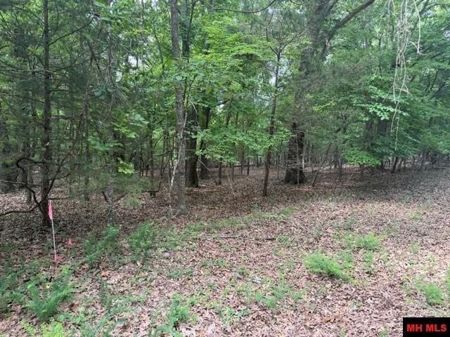 218 County Road 472, Clarkridge, AR 72623