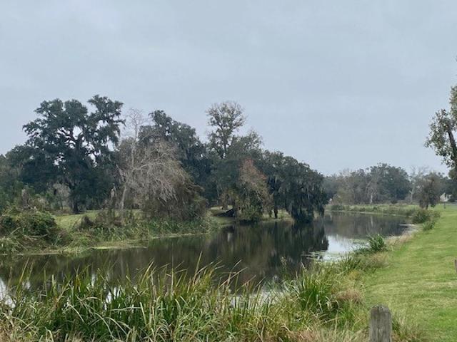 218 Cattle Drive Trail