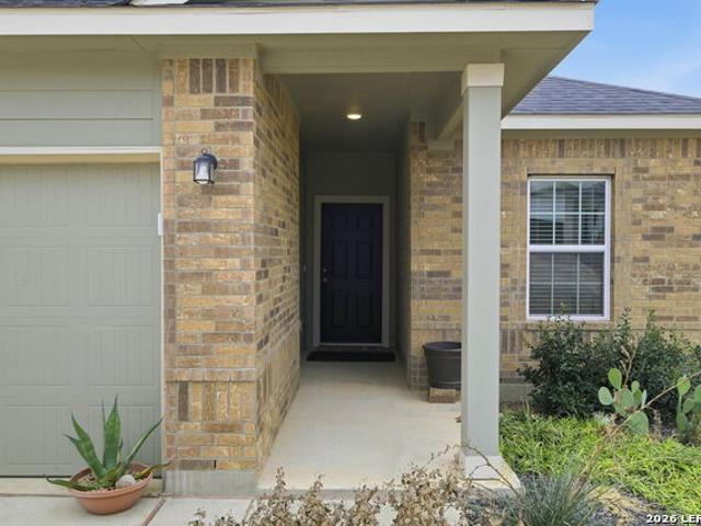 218 Antelope