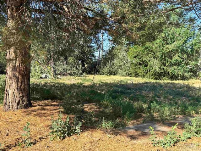 218 East D Street Lots 1 3
