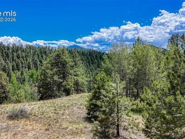 218 Princess Rd, Cripple Creek, CO 80813