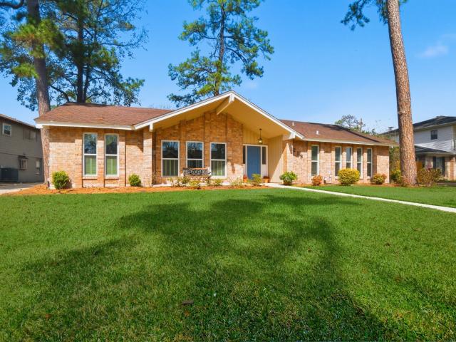 218 Tree Trunk Drive