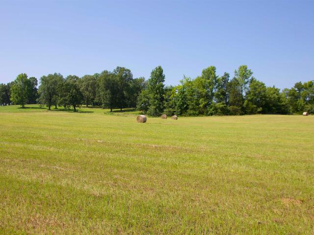 2195 s slayden rd