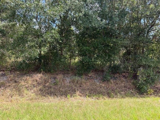 21971 NW 260th St, Okeechobee, FL 34972