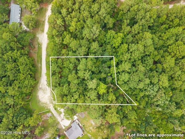 2198 Woodard Rd NW Lot 16, Supply, NC 28462