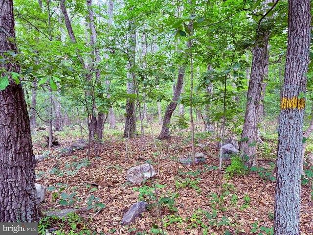 21908 White Oak Rd, Hagerstown, MD 21740