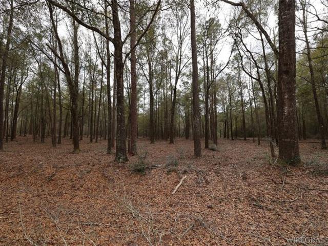 2190 County Road 156, Enterprise, AL 36330