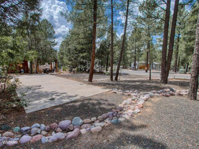 2191 Hanging Tree Trail