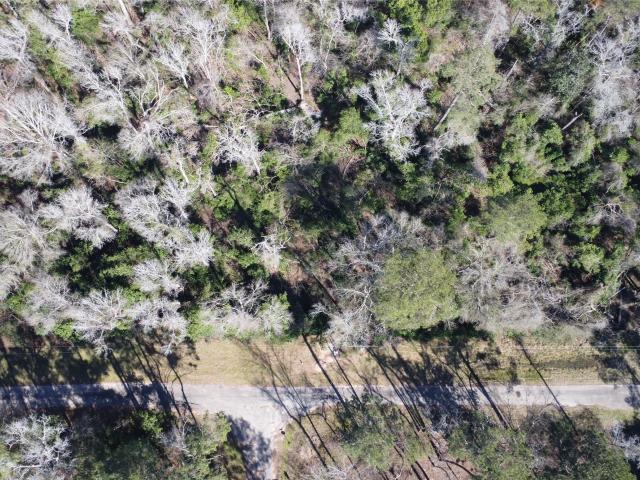 21927 Holly Ln, New Caney, TX 77357 | MLS #44902 | Compass