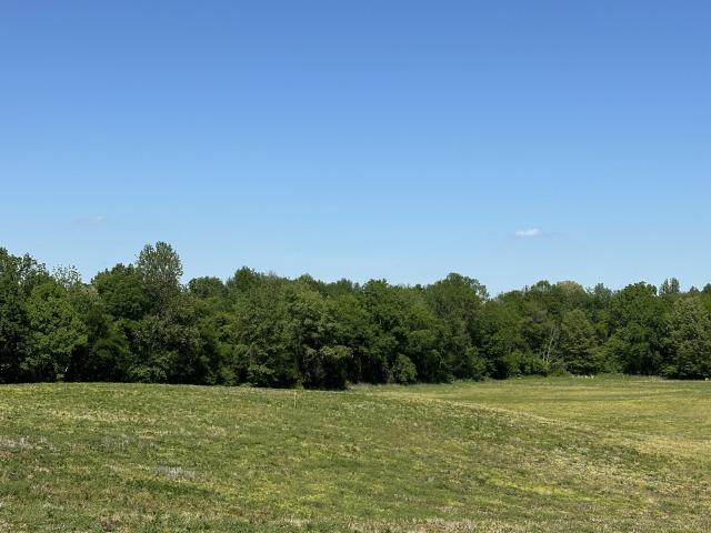 2193 Highway 259