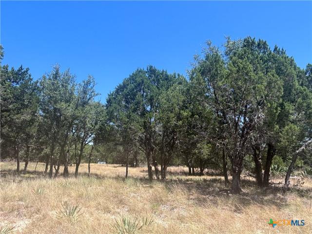 219 County Road 4360