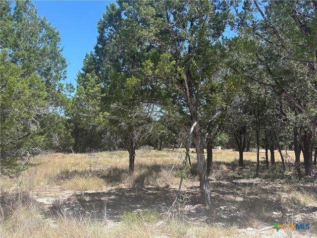219 County Road 4360 Lot 30C, Lampasas, TX 76550