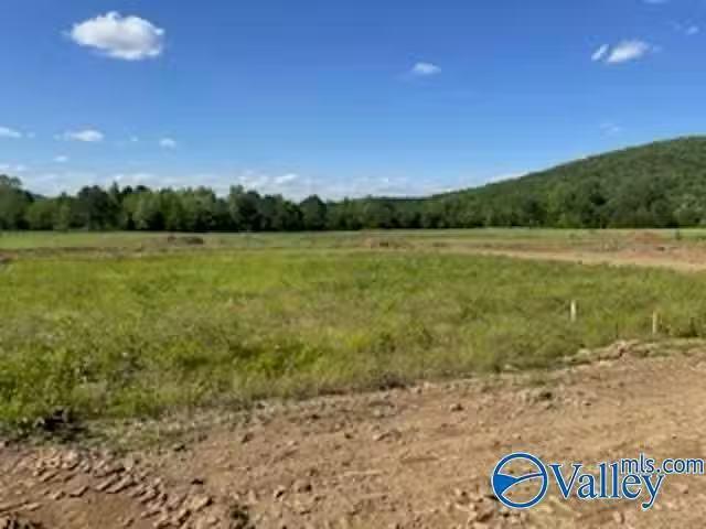219 Bush Rd SE, Huntsville, AL 35803 MLS# 21861705