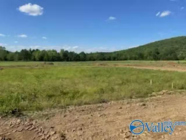 219 BUSH RD SE, HUNTSVILLE, AL 35803 Vacant Land For Sale MLS.