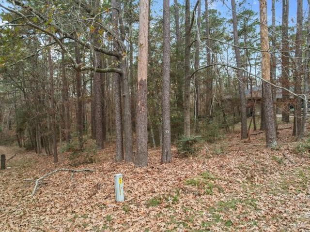 219 Kings Way, Coldspring, TX 77331