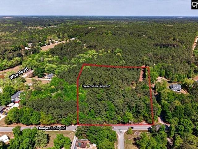 219 Juniper Springs Rd Parcel A and B, Gilbert, SC 29054