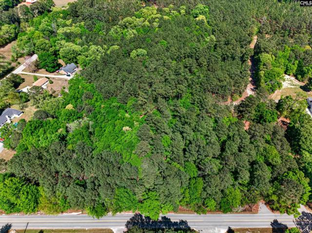 219 Juniper Springs Road