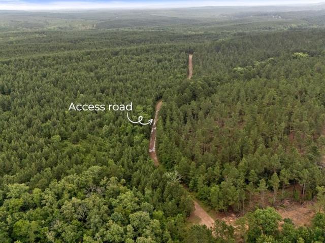 219 Lost Hazel Trail