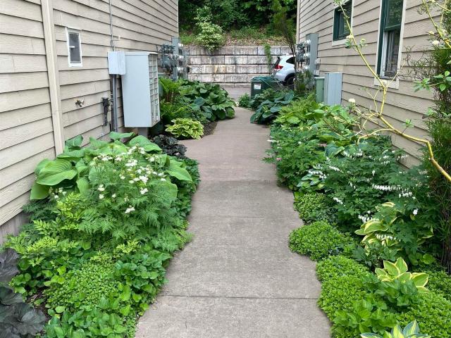 219 N Lakeshore Boulevard # Unit No 5