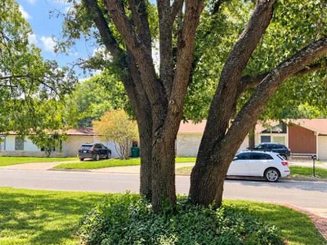 219 Shin Oak Dr