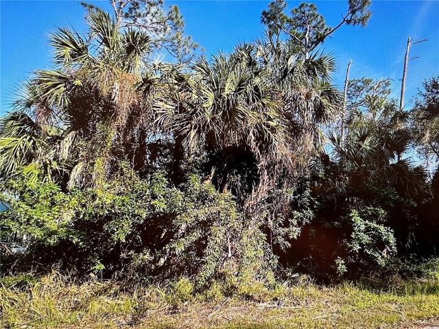219 Swift St, Port Charlotte, FL 33954 | MLS #N6140 | Compass
