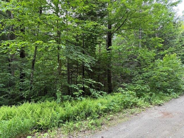 219 Woodbury Mountain Rd, Calais, VT 05648