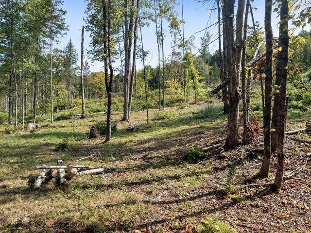 219 Weber Brook Ln Lot 1, Craftsbury, VT 05826