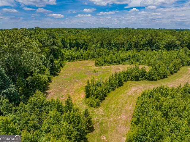 21.4 ACRES Cochran Road