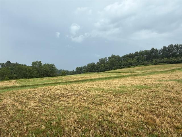 21.63 Acres along Route 536 & Harper Road