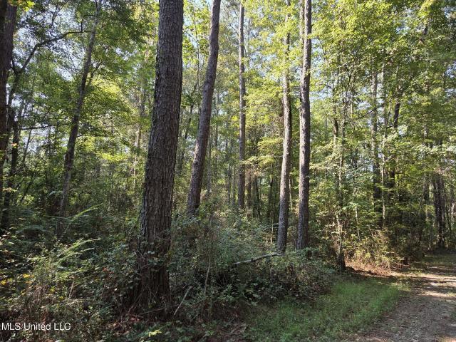 21.79 Acre Homer Ladner Road